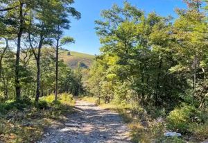 "The Forrest Maready Show"